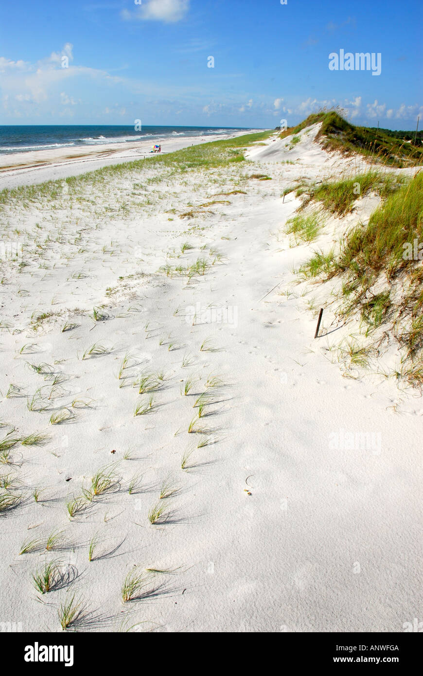 St joseph peninsula state park beach hi-res stock photography and ...