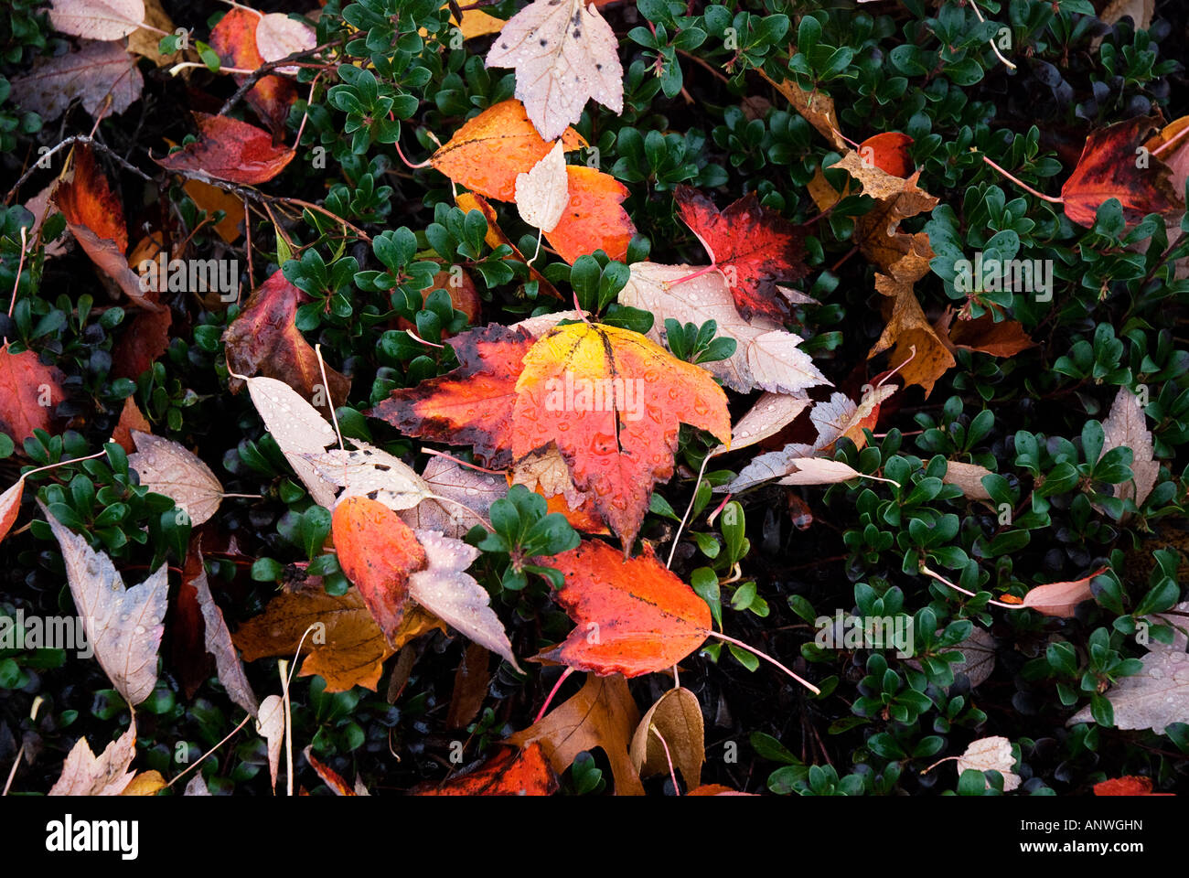 Urban transitions hi-res stock photography and images - Alamy