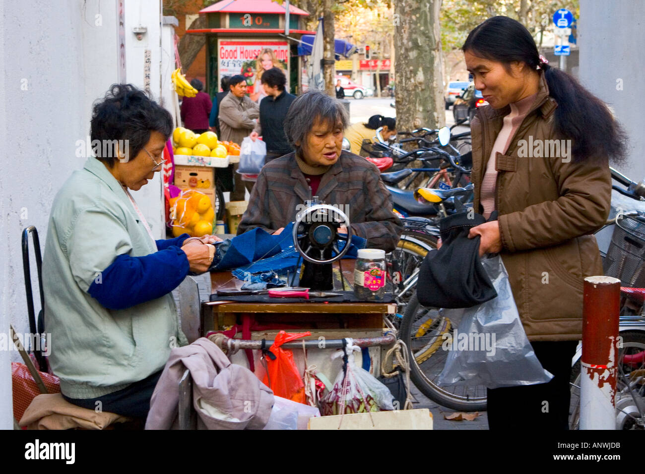 Fascinating of life cycle hi-res stock photography and images - Alamy