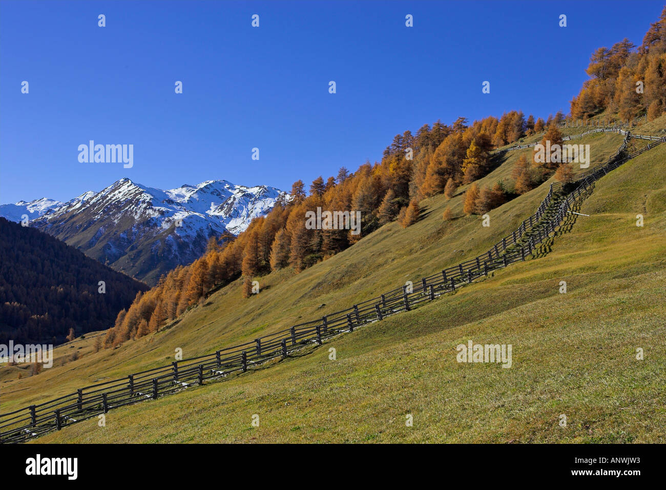 Traditional made wooden fence, South Tyrol, Italy Stock Photo - Alamy