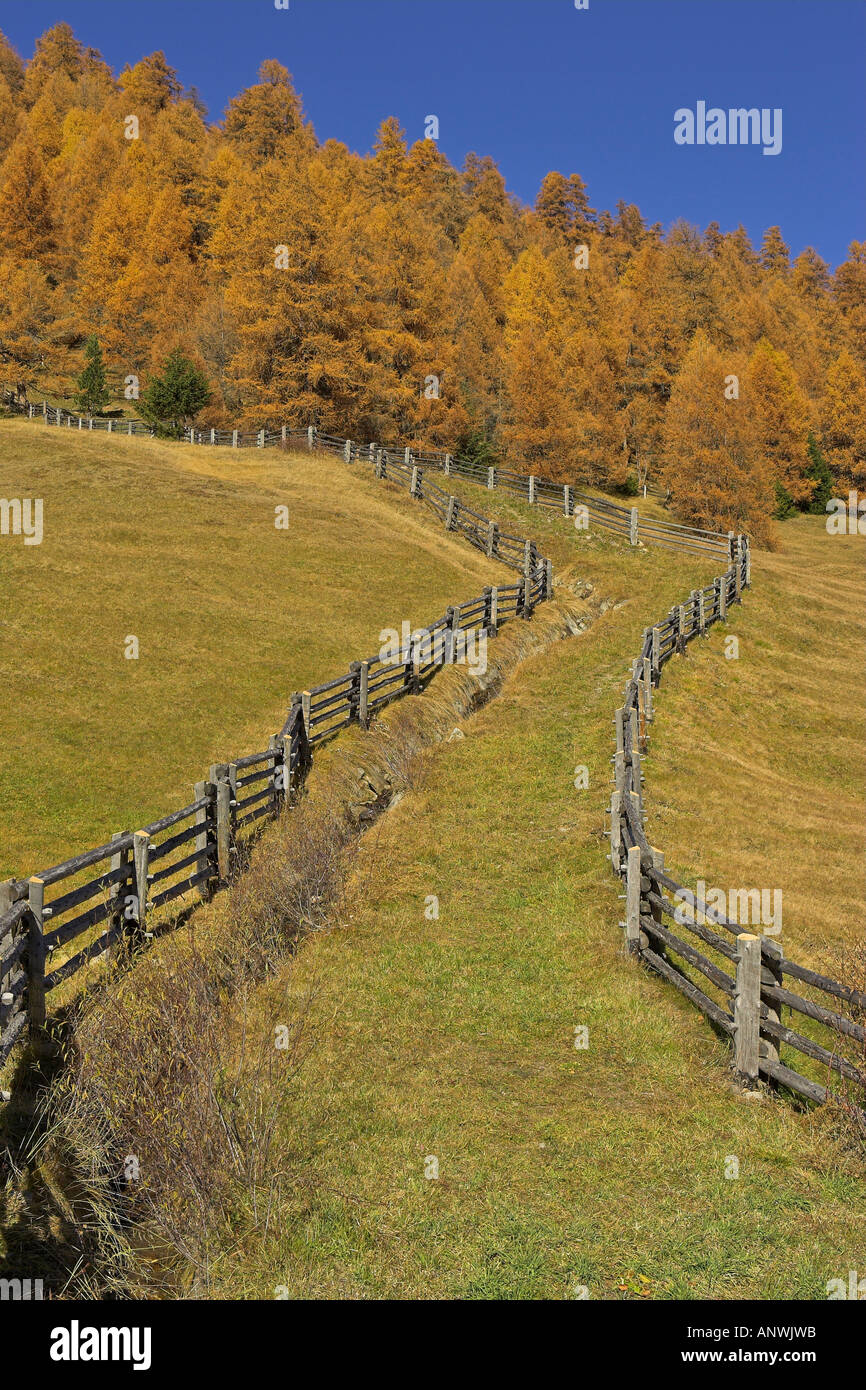 Traditional made wooden fence, South Tyrol, Italy Stock Photo - Alamy