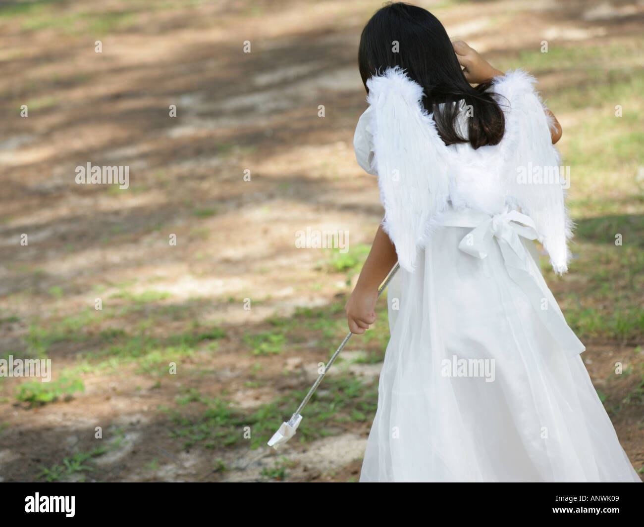 Rear view of a girl dressed as a fairy Stock Photo - Alamy