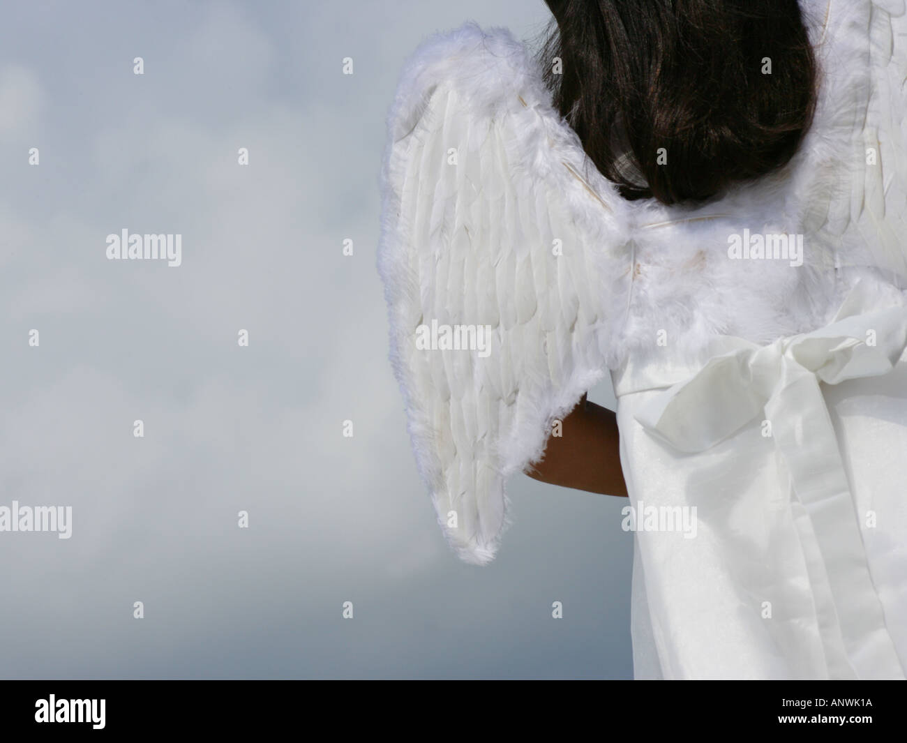 Rear view of a girl dressed as a fairy Stock Photo - Alamy