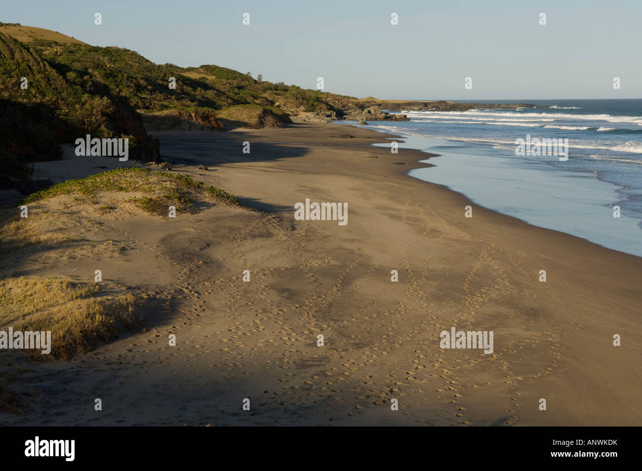 Wild Coast, Eastern Cape, South Africa Stock Photo - Alamy