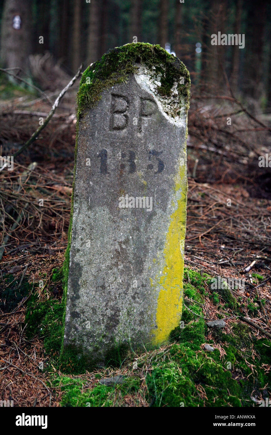 Marking a trail in the forest hi-res stock photography and images - Alamy