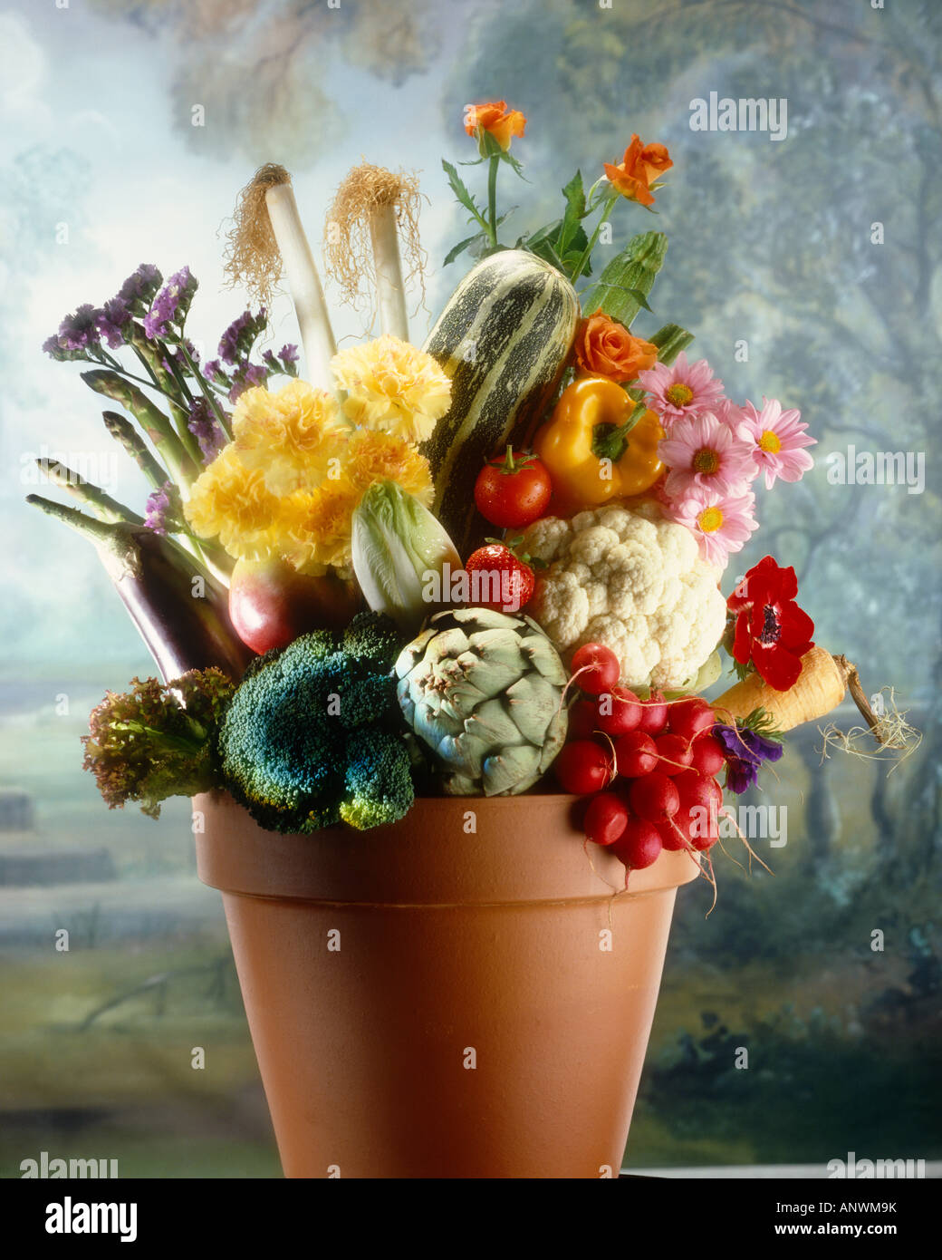 Home Grown vegetables in garden pot Stock Photo - Alamy