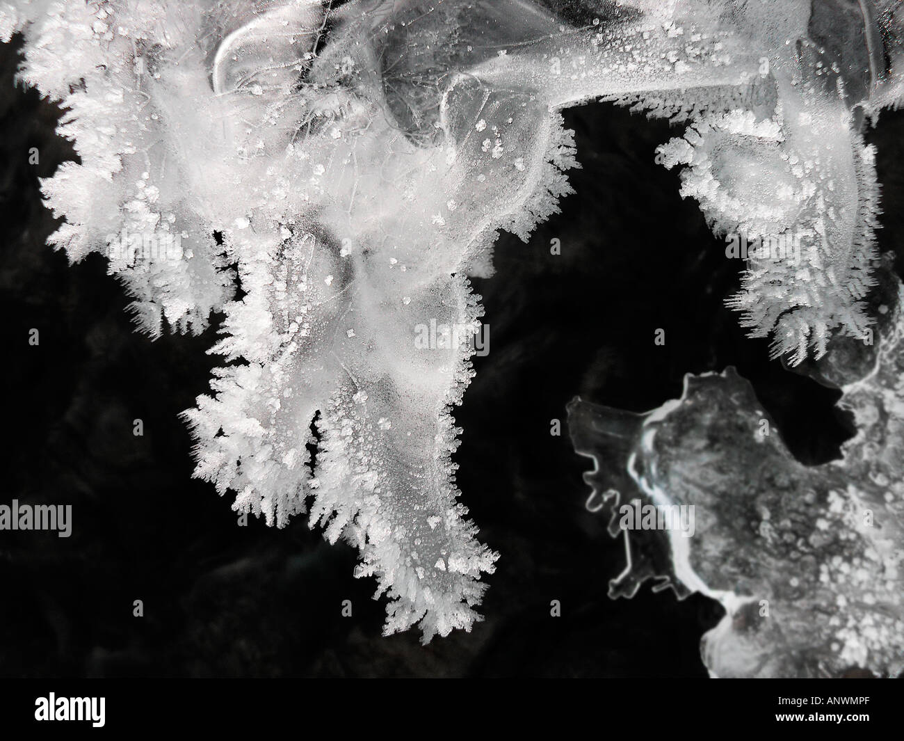 Abstract ice crystals on frozen hi-res stock photography and images - Alamy