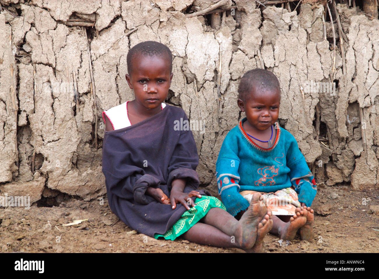 Maasai children Masai village showing mud hut made of sticks and cow ...