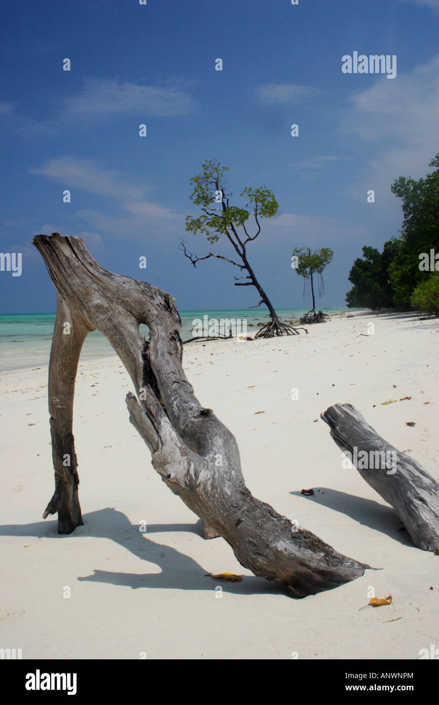 beautiful beach in the andaman islands Stock Photo - Alamy