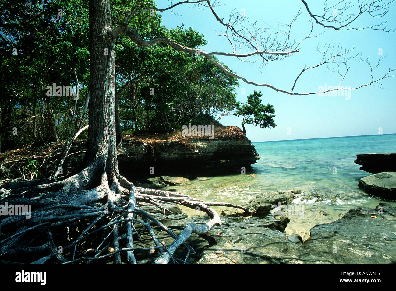 beautiful scenery in the andaman islands Stock Photo - Alamy