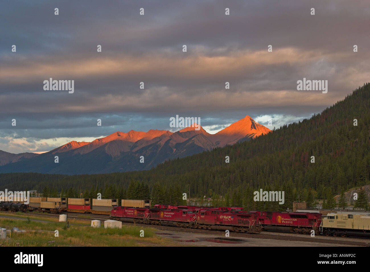 Yoho national park mount field hi-res stock photography and images - Alamy