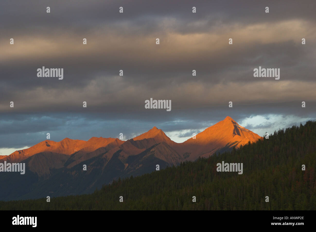 Yoho national park mount field hi-res stock photography and images - Alamy