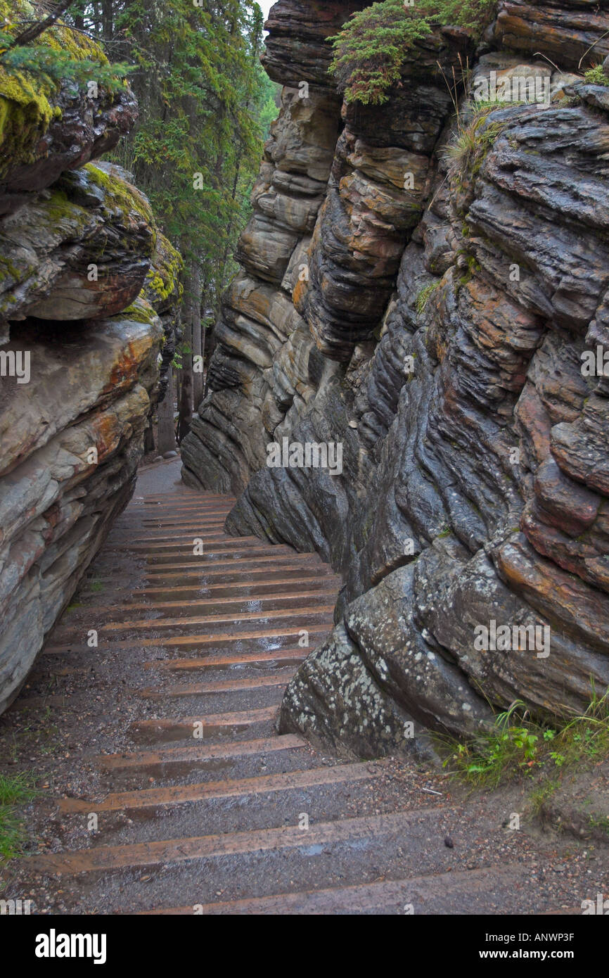 3 step access hi-res stock photography and images - Alamy