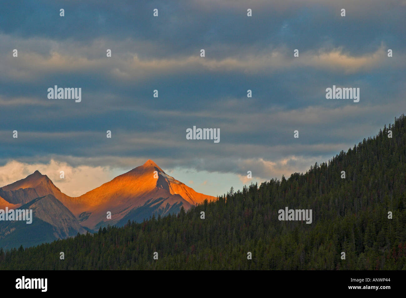 Yoho national park mount field hi-res stock photography and images - Alamy