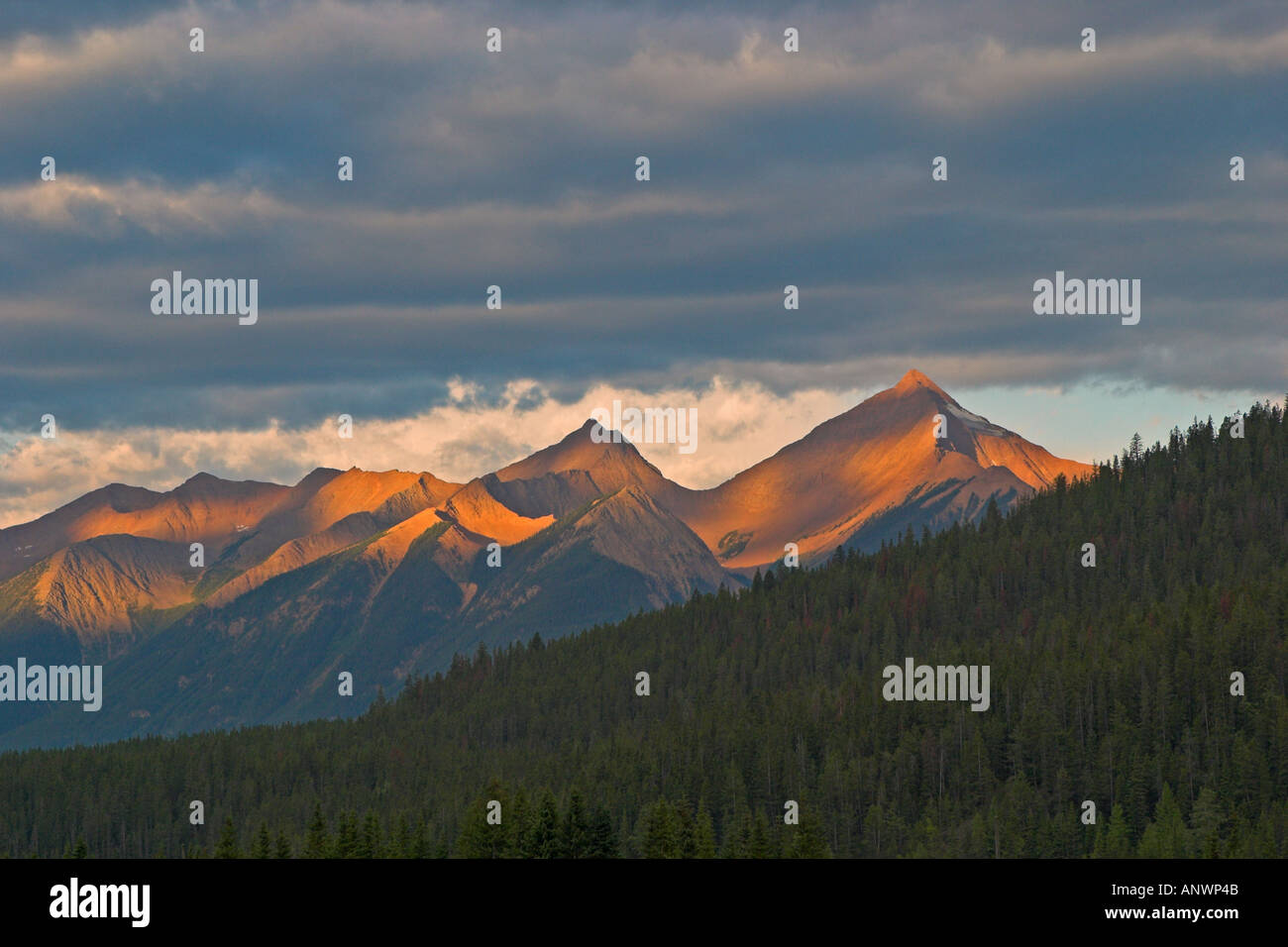 Yoho national park mount field hi-res stock photography and images - Alamy
