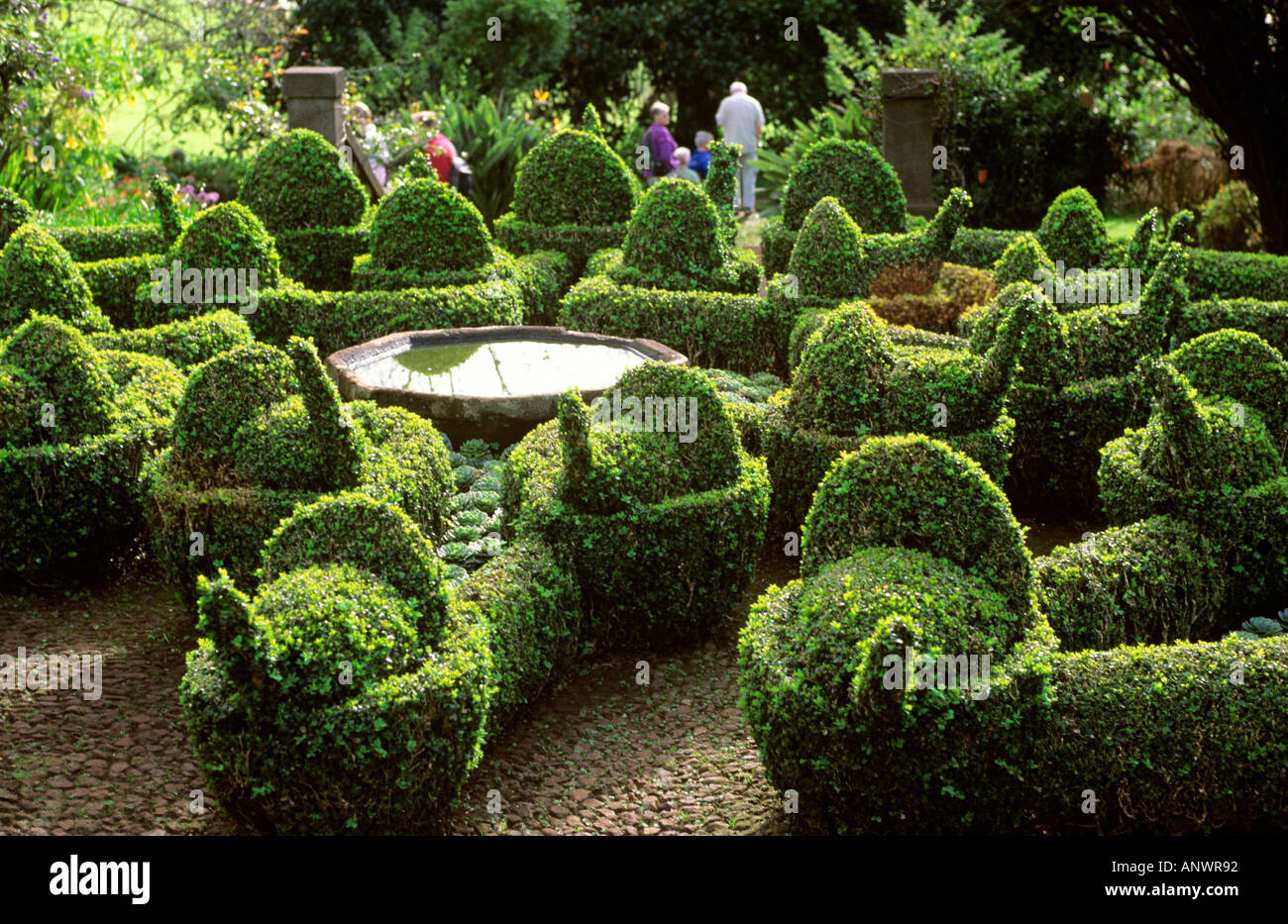 FUNCHAL TOPIARY BOTANICAL GARDENS Bird shaped topiary in Funchal ...