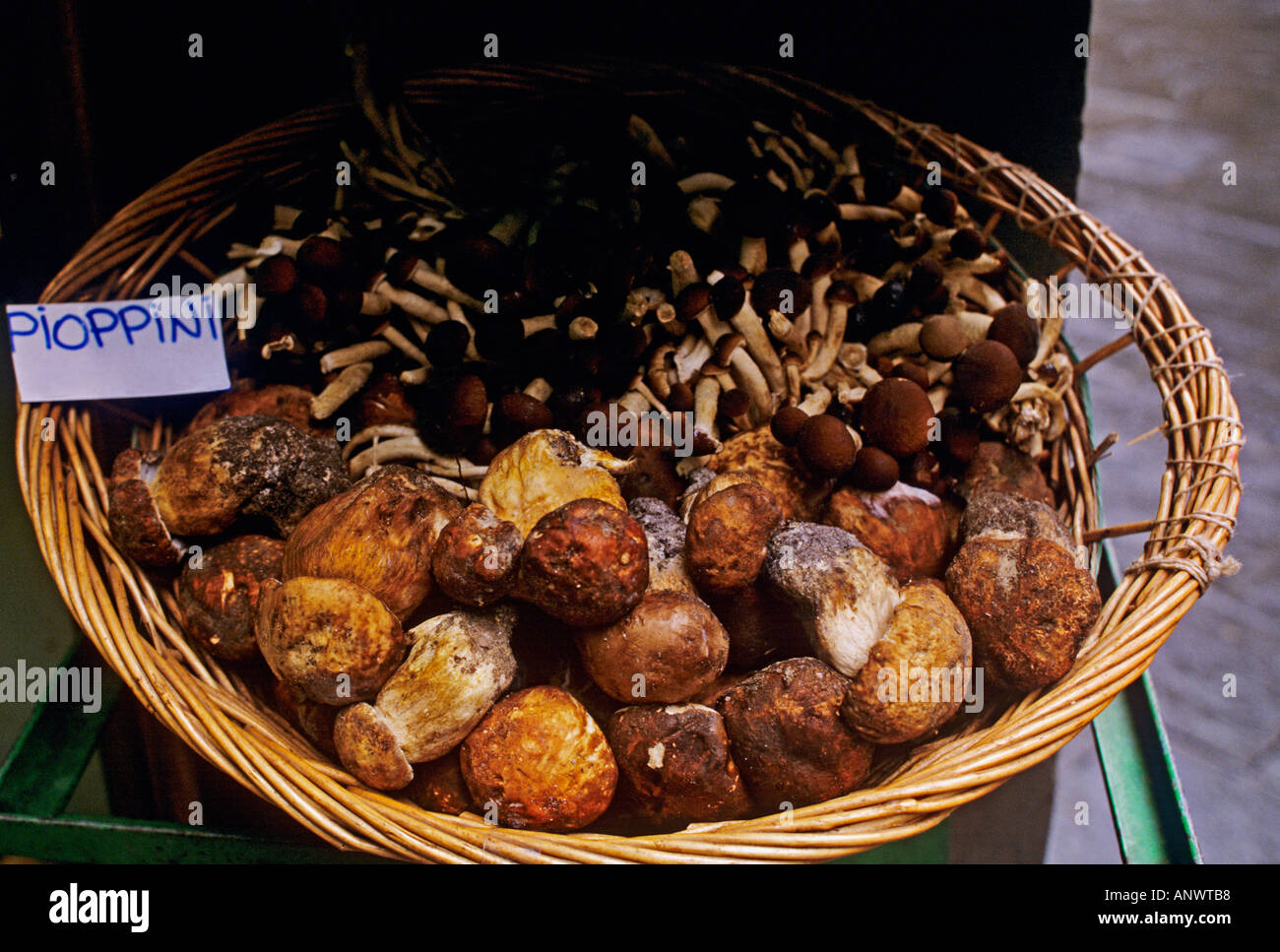 Mushrooms tuscany italy hi-res stock photography and images - Alamy