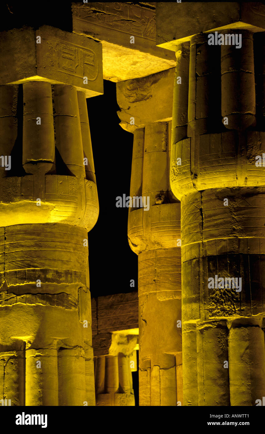 Africa, Egypt, Luxor. Lotus bud column cattail, Court of Amenophis III ...