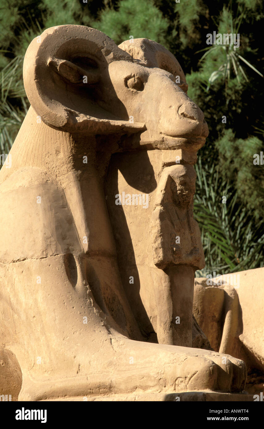 Ram headed sphinx statue hi-res stock photography and images - Alamy
