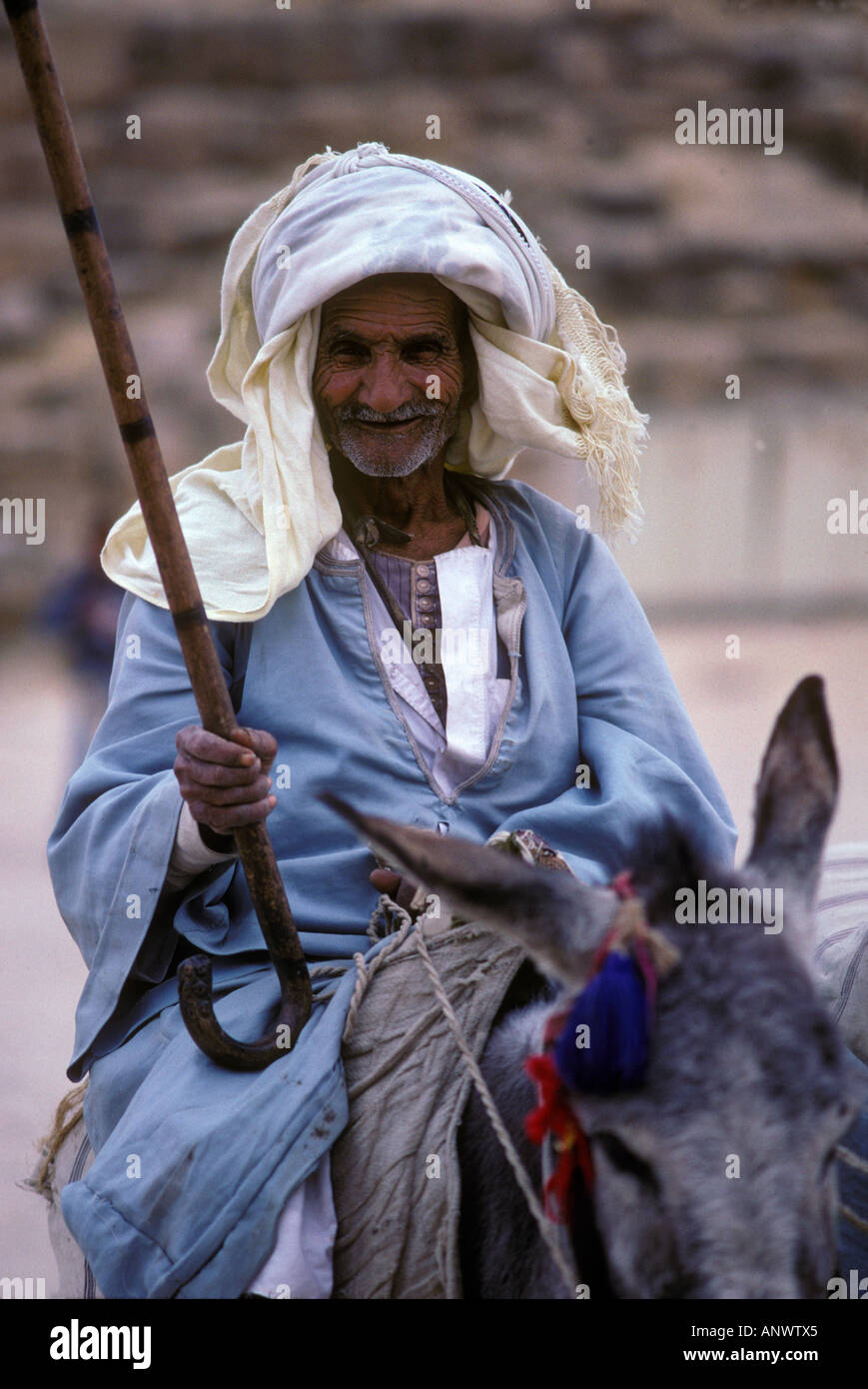Egyptian riding donkey hi-res stock photography and images - Alamy