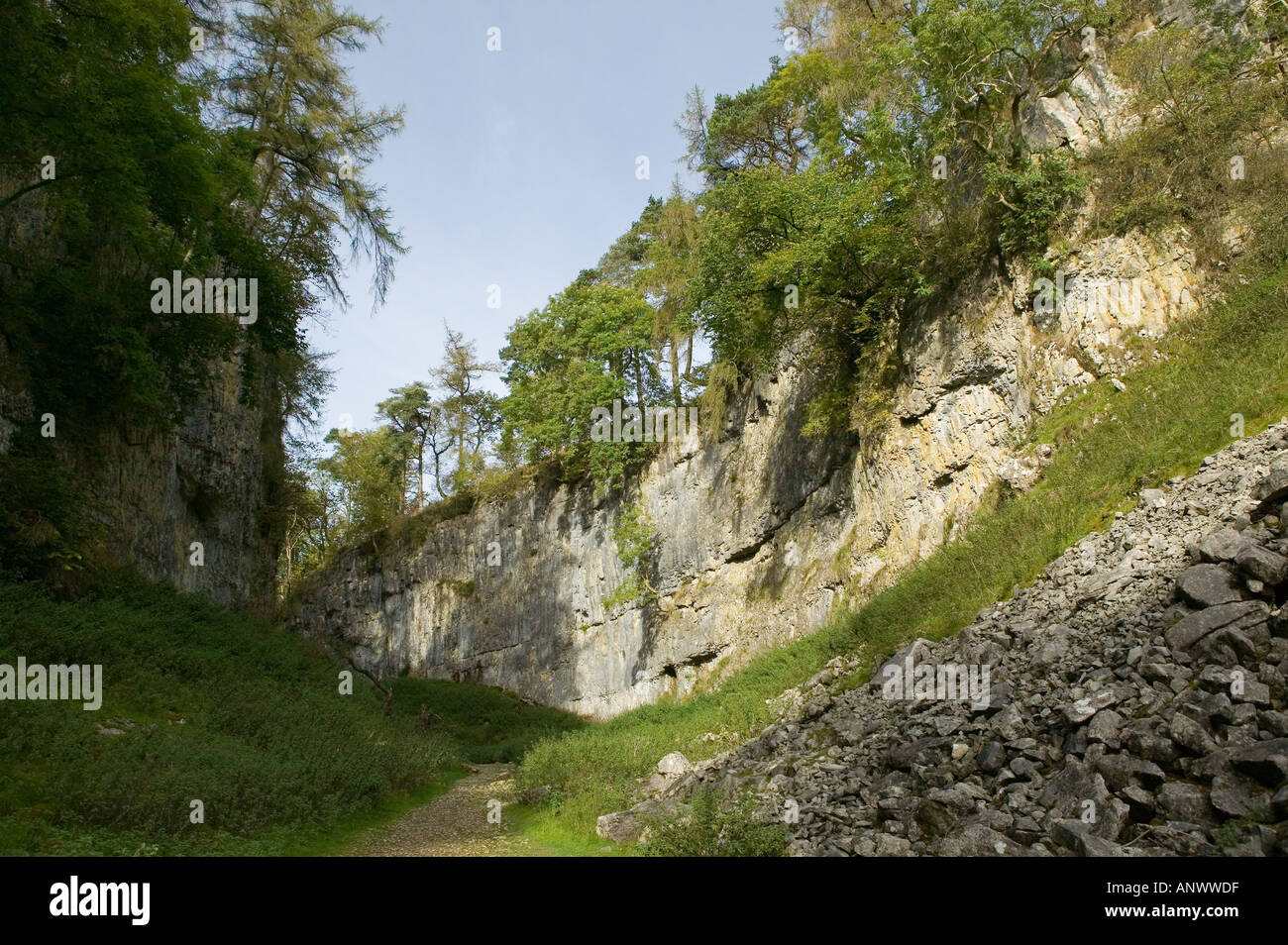 Trow Gill Ingleborough Yorkshire Dales England UK Stock Photo - Alamy