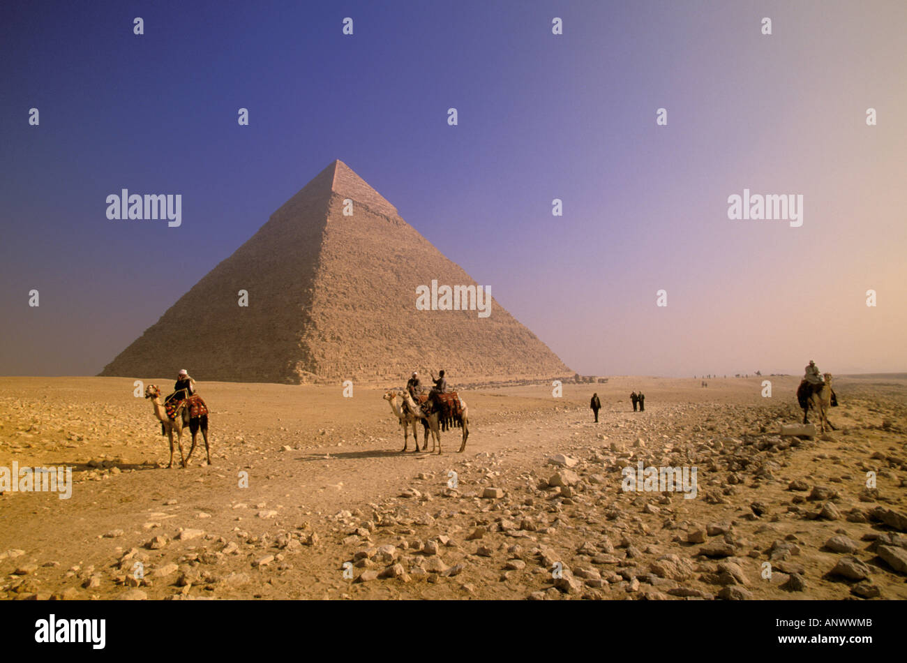 Africa, Egypt, Cairo, Giza. Great pyramids with camel ride vendors ...