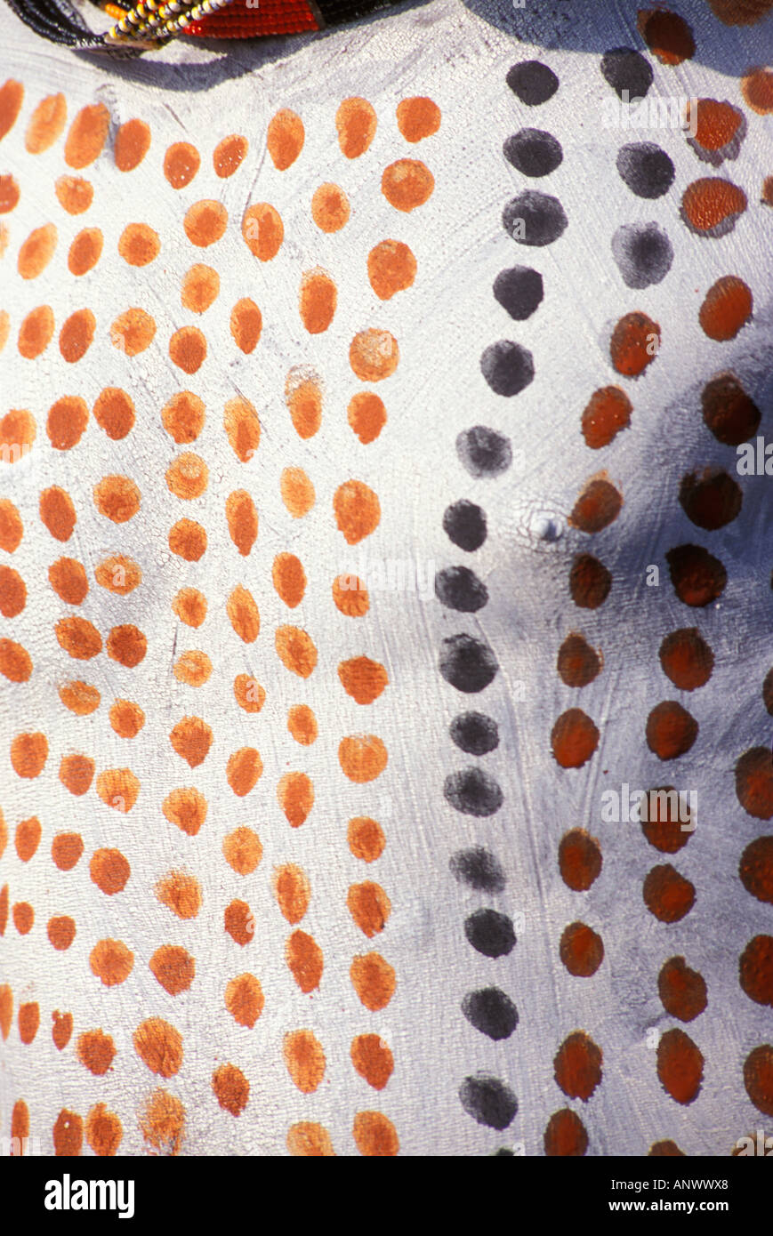 A Karo warrior's body paint, in the Omo region of Ethipia, Africa (MR ...