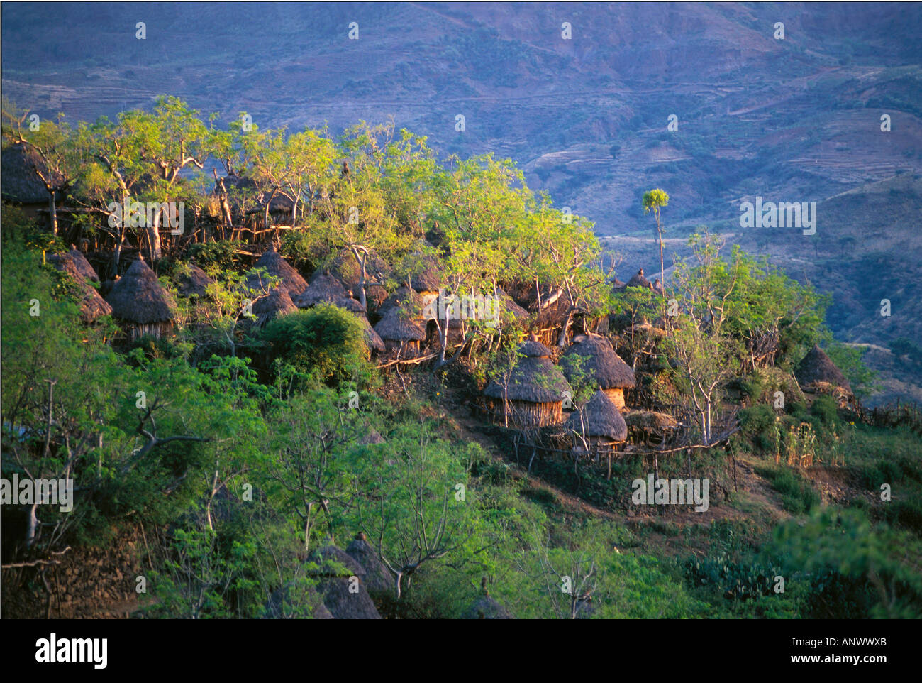 The Konso village deep in the forest in the Omo region of Ethiopia ...