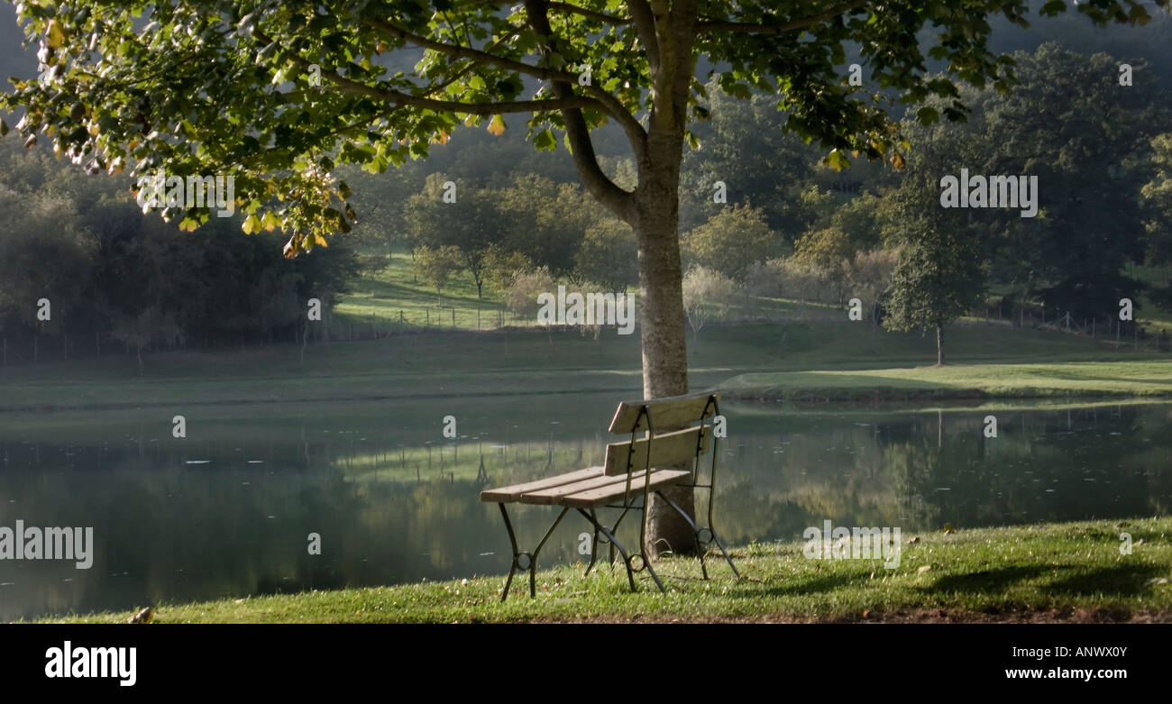 french park with lake and bench Stock Photo - Alamy
