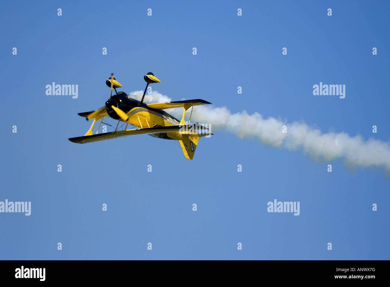 Pitts python hi-res stock photography and images - Alamy