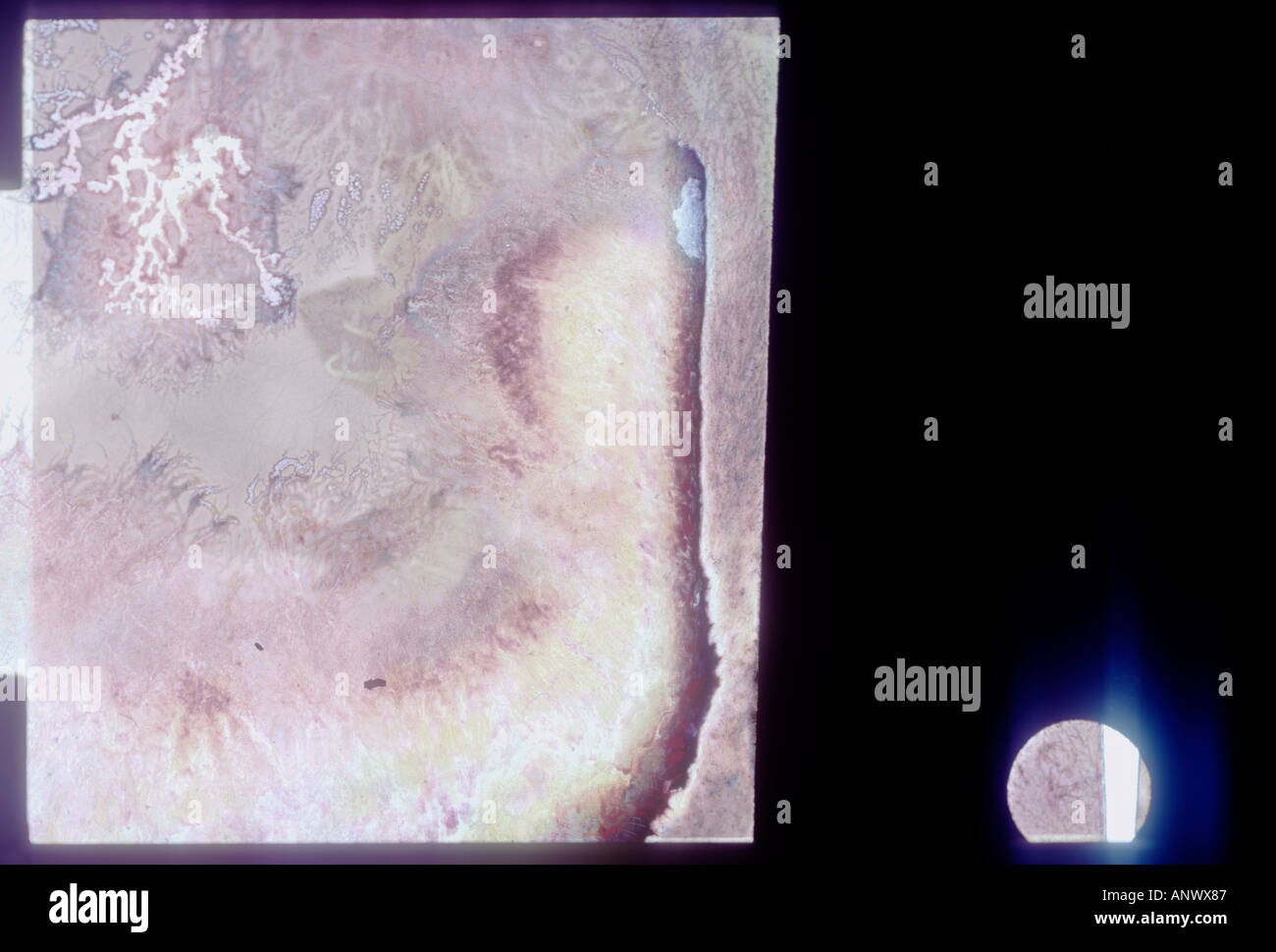 abstract flowers on mouldy negative creating beautiful patterns Stock ...