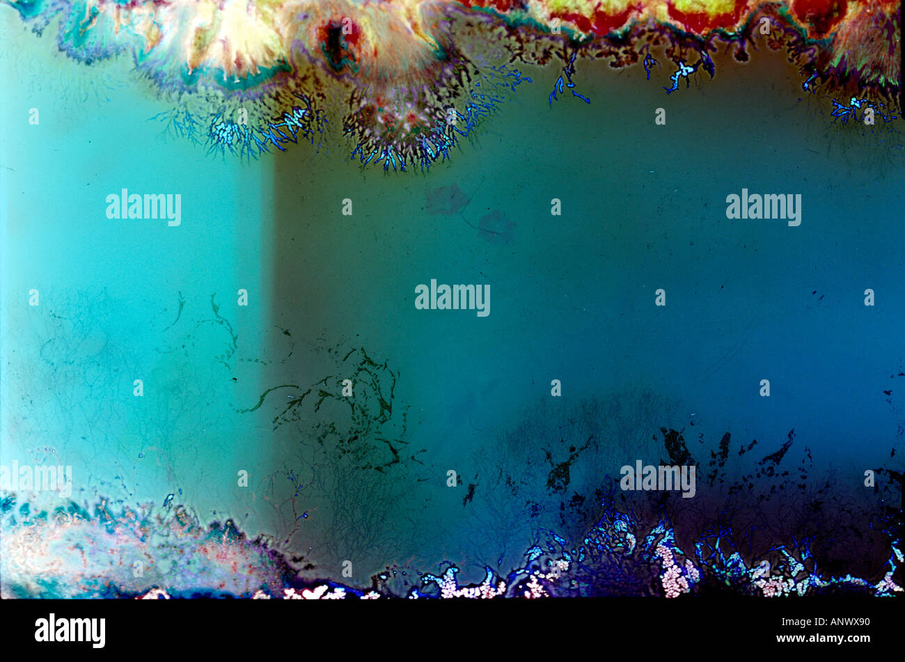 abstract flowers on mouldy negative creating beautiful patterns Stock ...