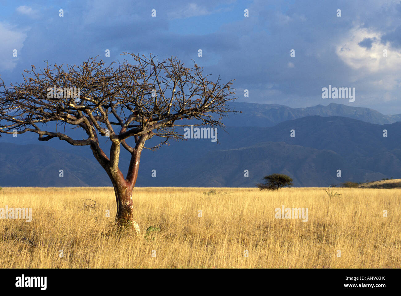 Nech sar national park hi-res stock photography and images - Alamy