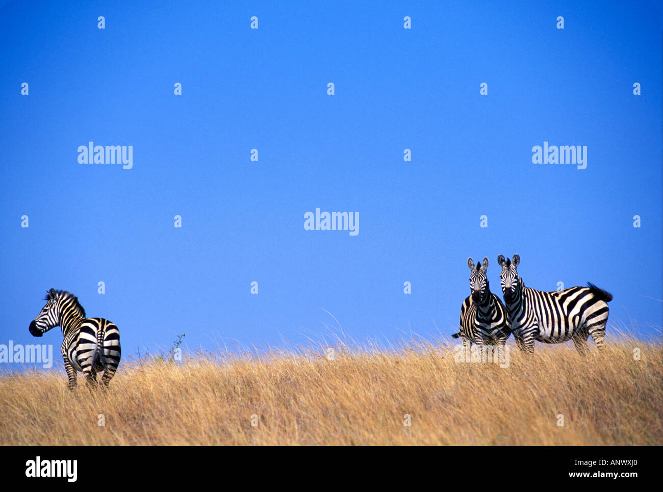 Nech sar national park hi-res stock photography and images - Alamy