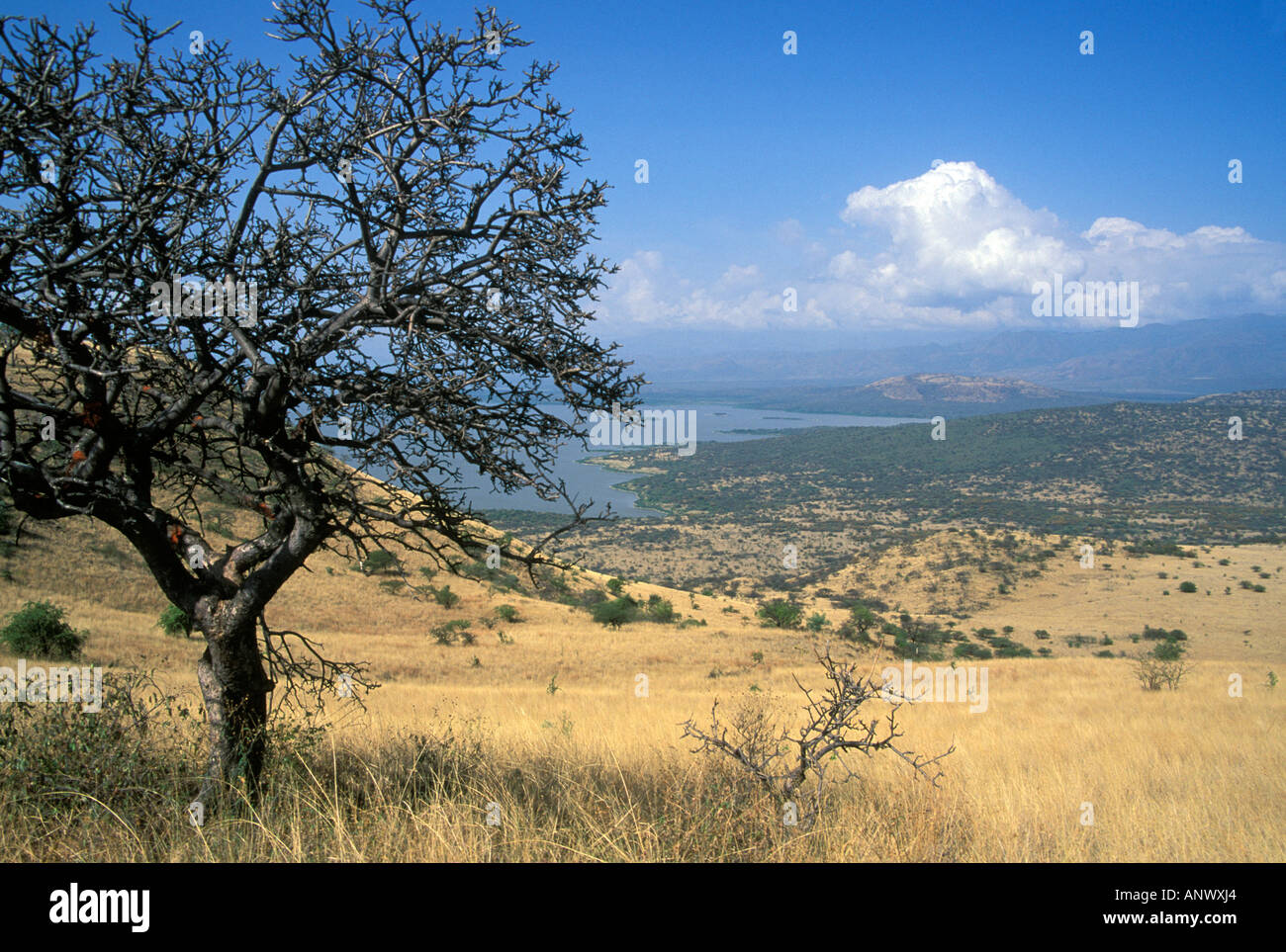 Nech sar national park hi-res stock photography and images - Alamy