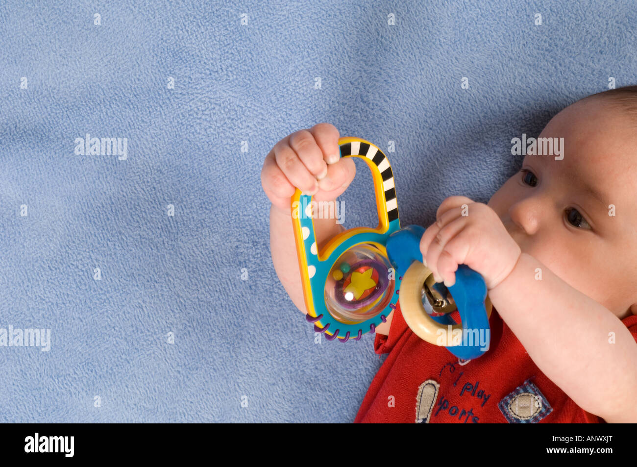 Closeup of Hispanic baby boy grasping toy rattles, one in each hand and ...