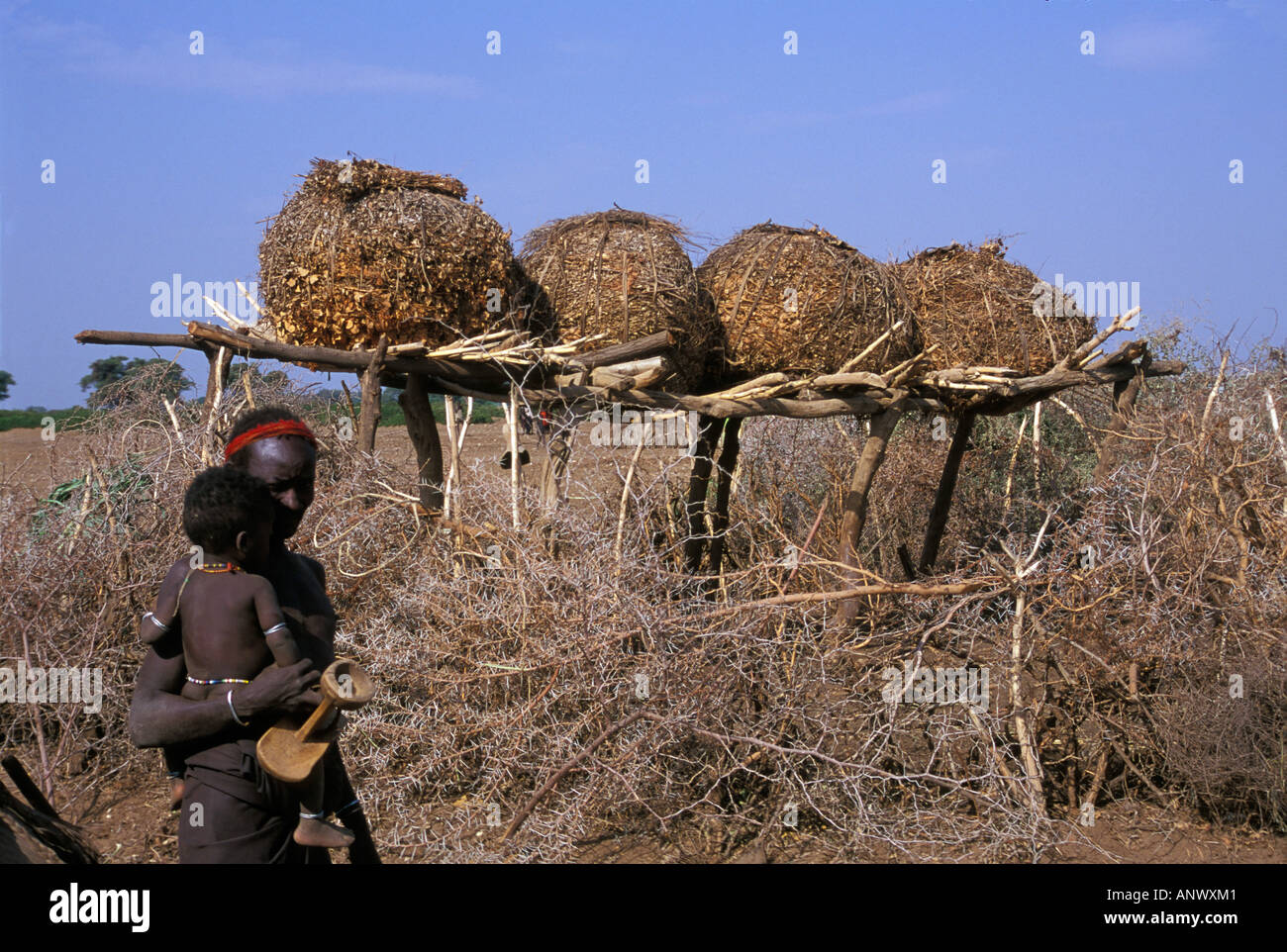Geleb hi-res stock photography and images - Alamy