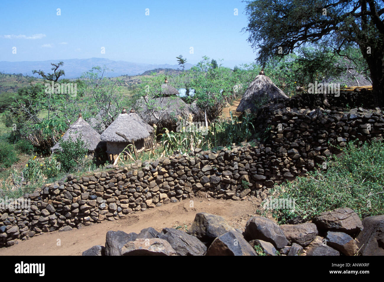 Africa, Ethiopia, Konso tribal village in the hills of the Omo River ...