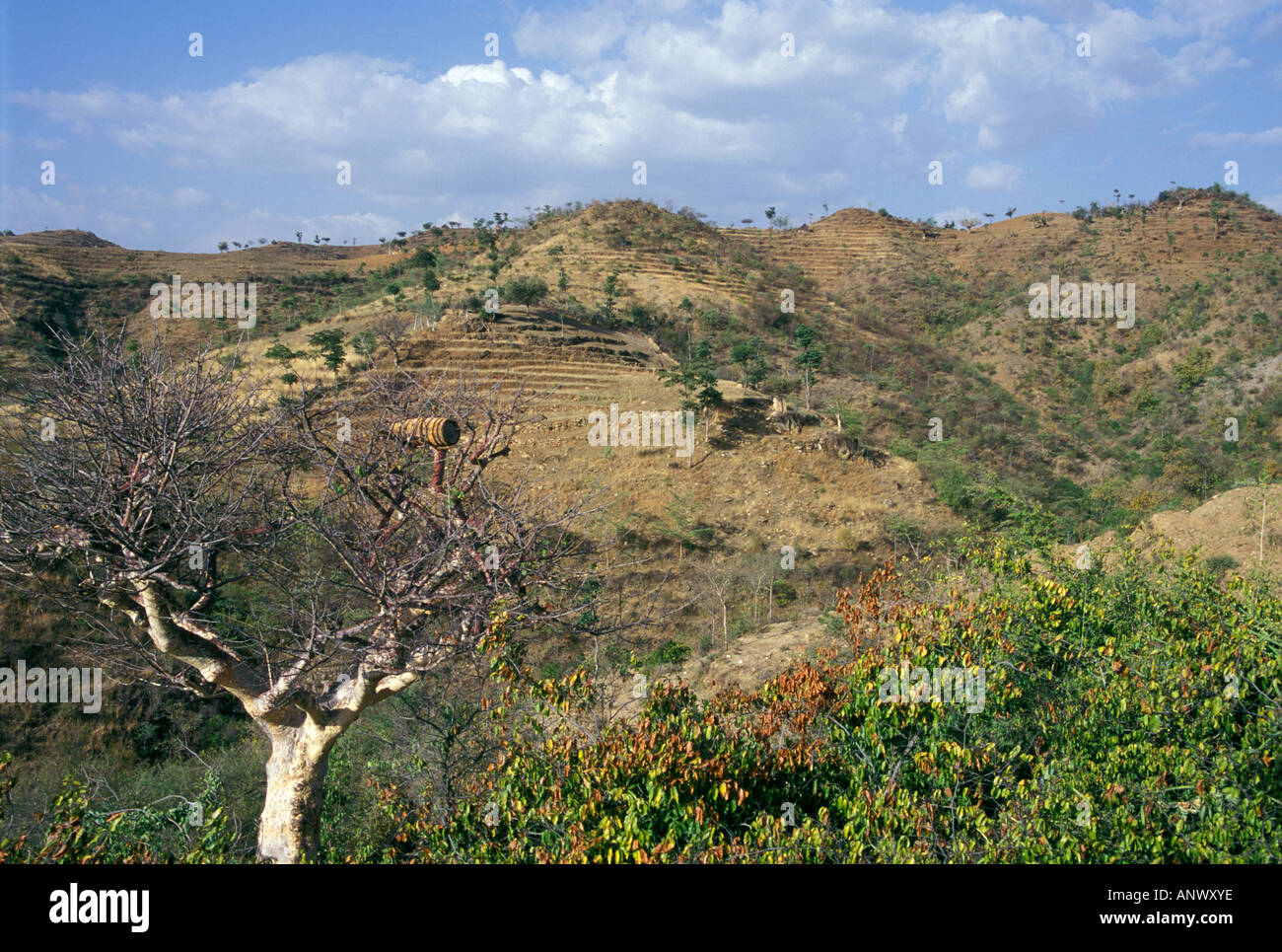 Konso landscape konso region ethiopia hi-res stock photography and ...
