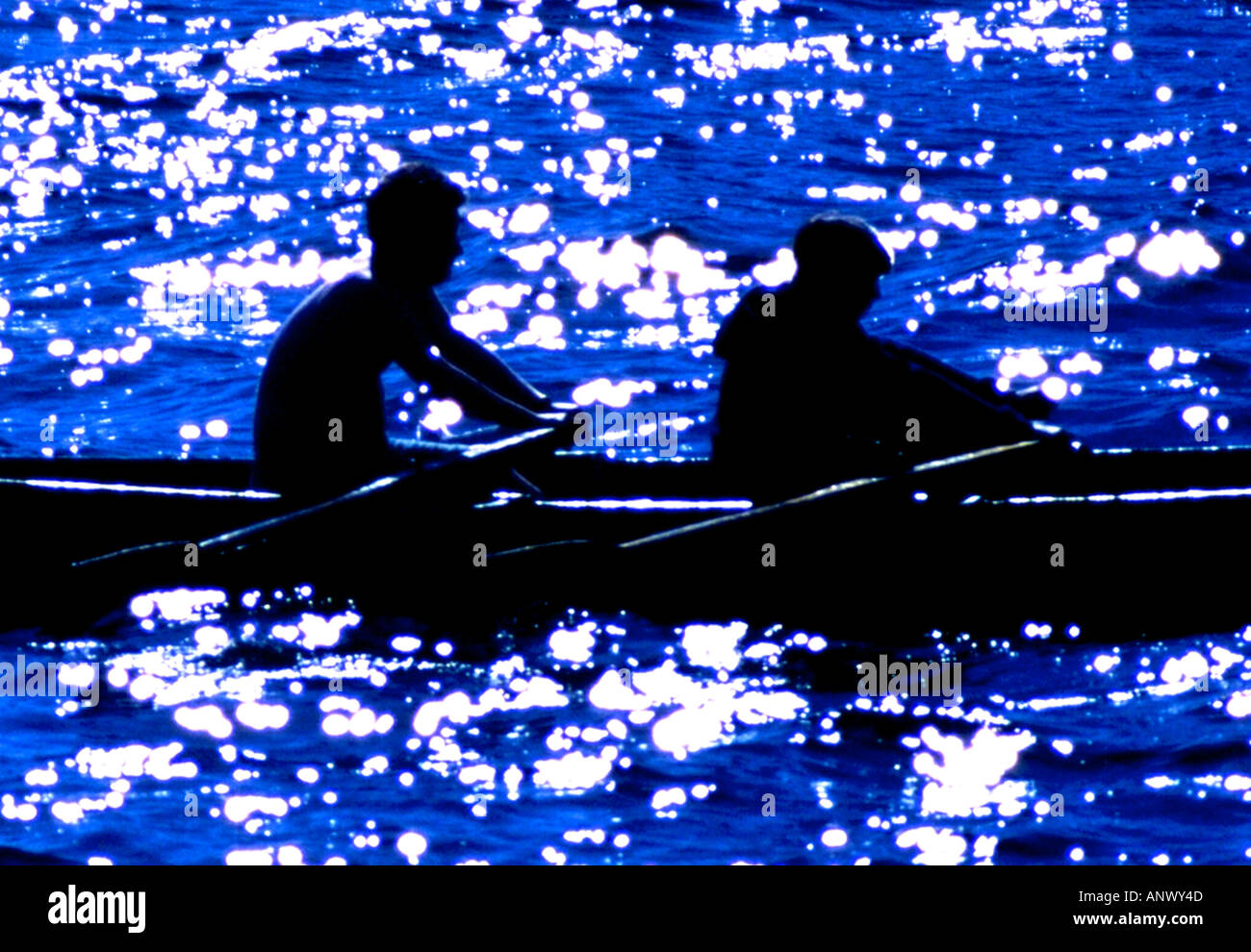 2 two people rowing boat on lake blue monochromatic colour Stock Photo ...