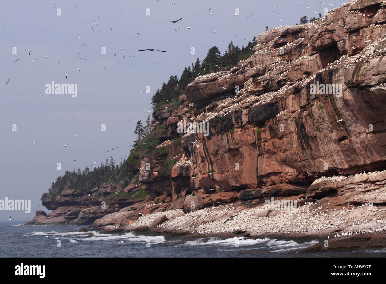 Is the most diverse ecosystem of the seas hi-res stock photography and ...