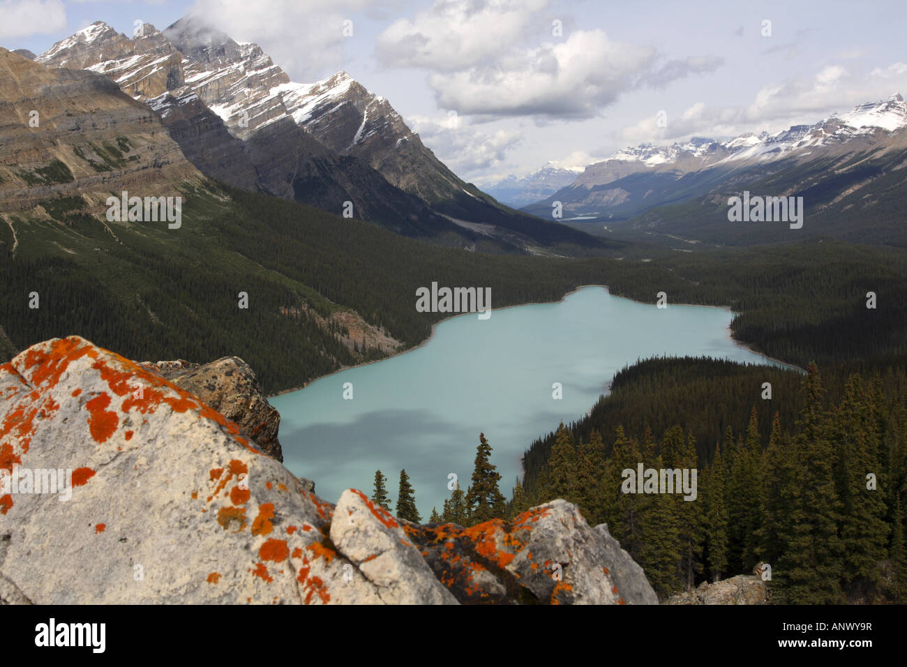 Peyto Lake/Fox Lake, Canada, Alberta, Banff National Park Stock Photo ...