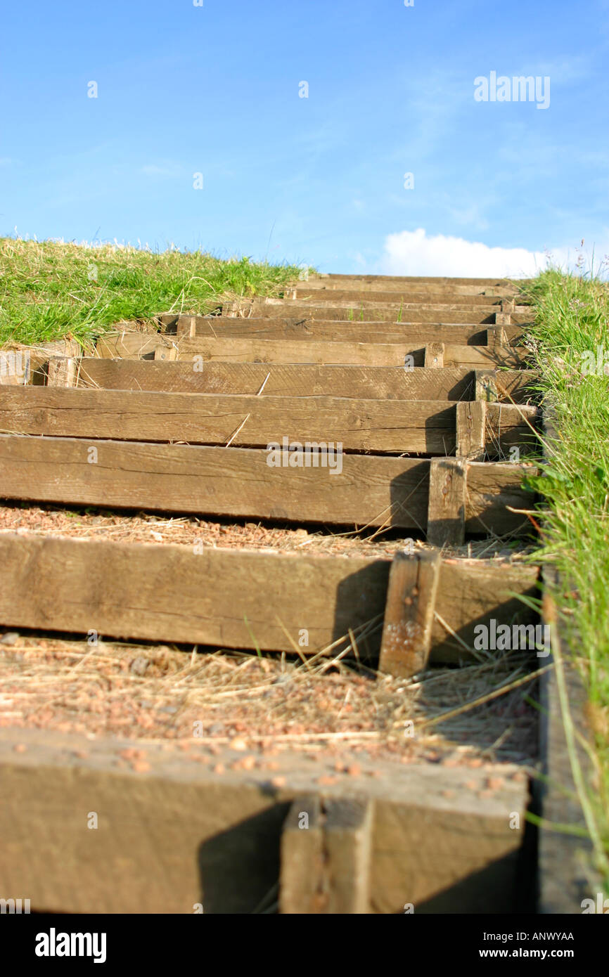 Wooden steps on park path Stock Photo - Alamy