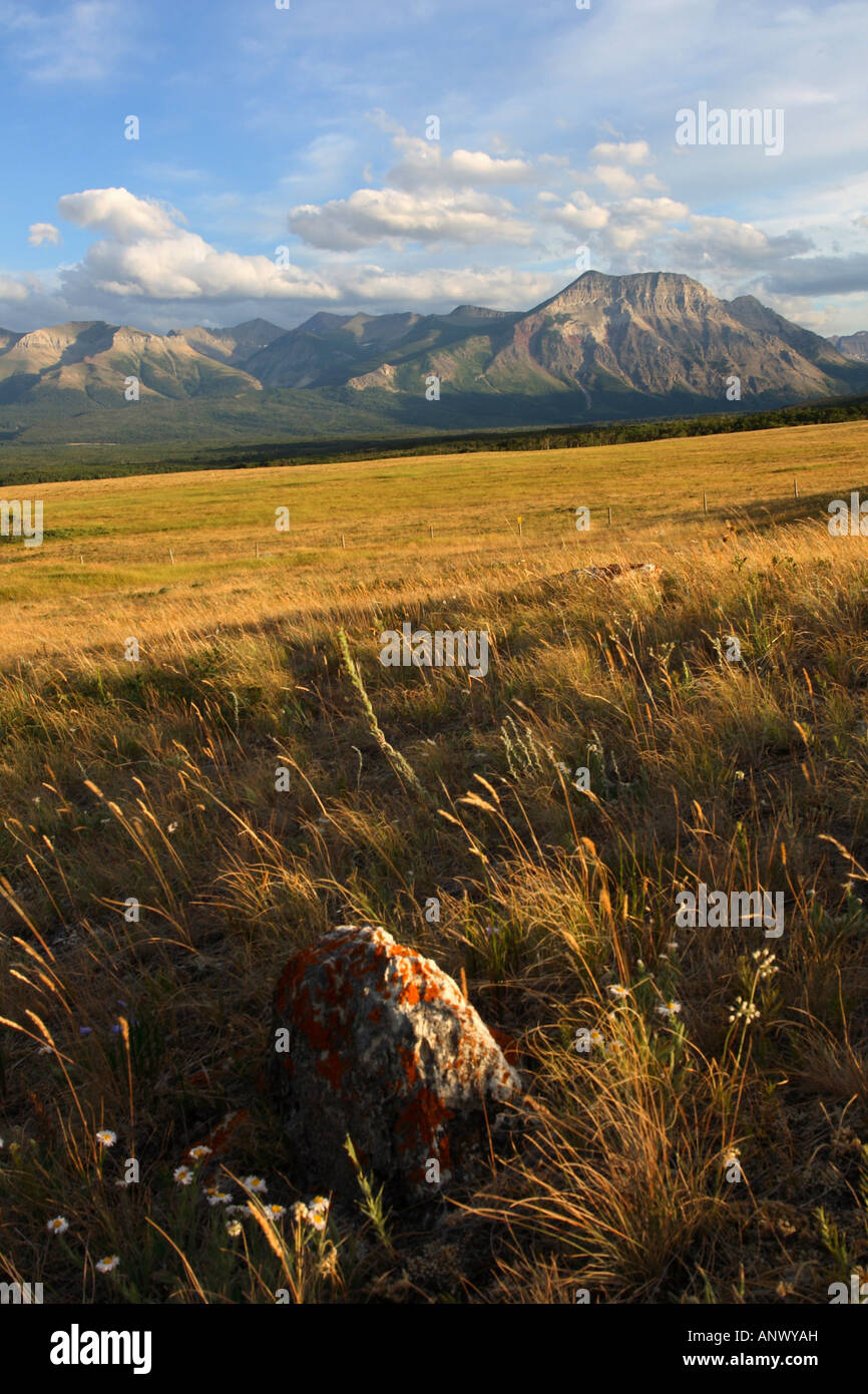 prairie with mountain range, Canada, Alberta Stock Photo - Alamy