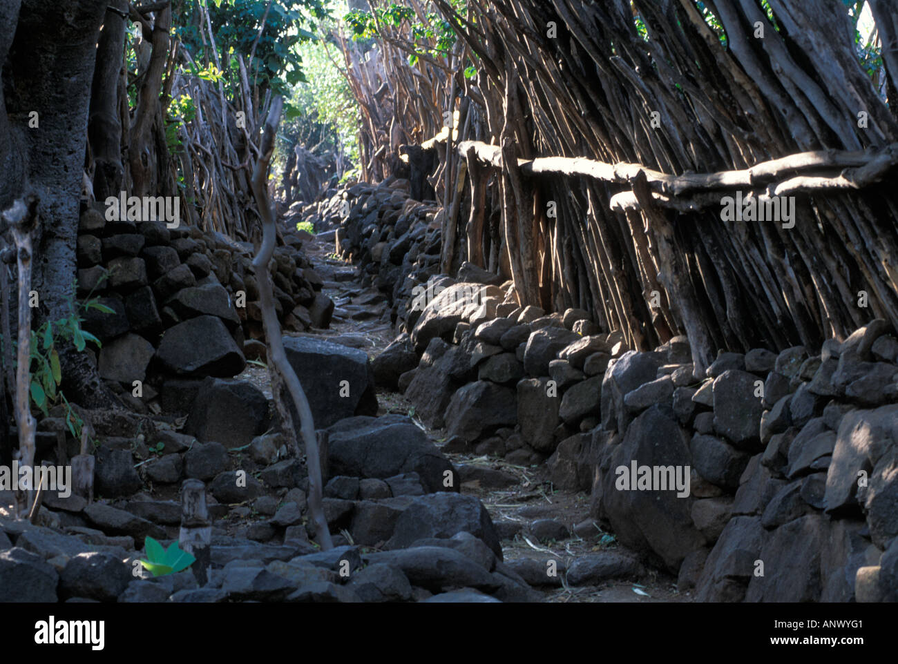 Africa, Ethiopia, Omo river region, dark village path Stock Photo - Alamy