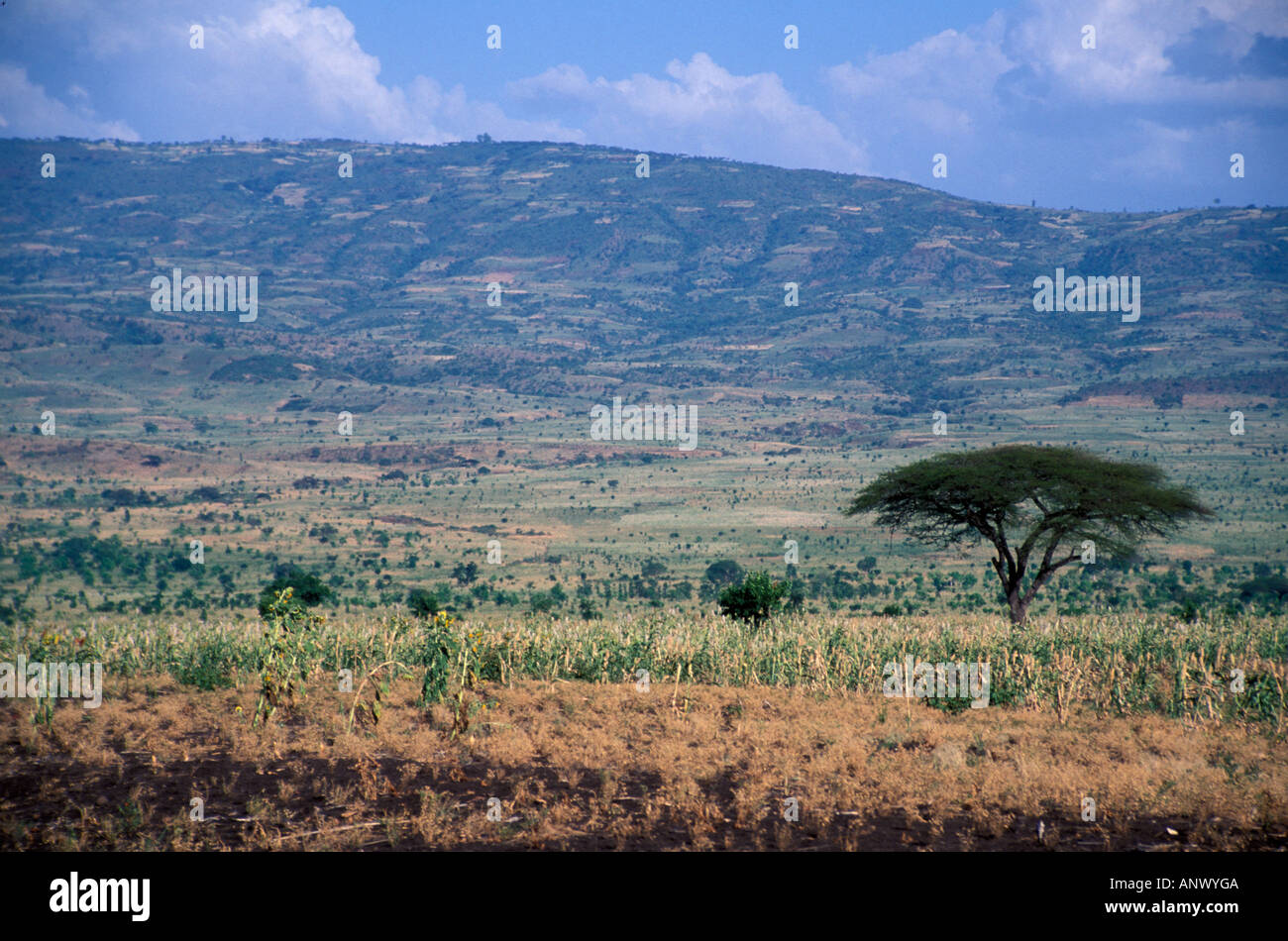 Konso landscape konso region ethiopia hi-res stock photography and ...