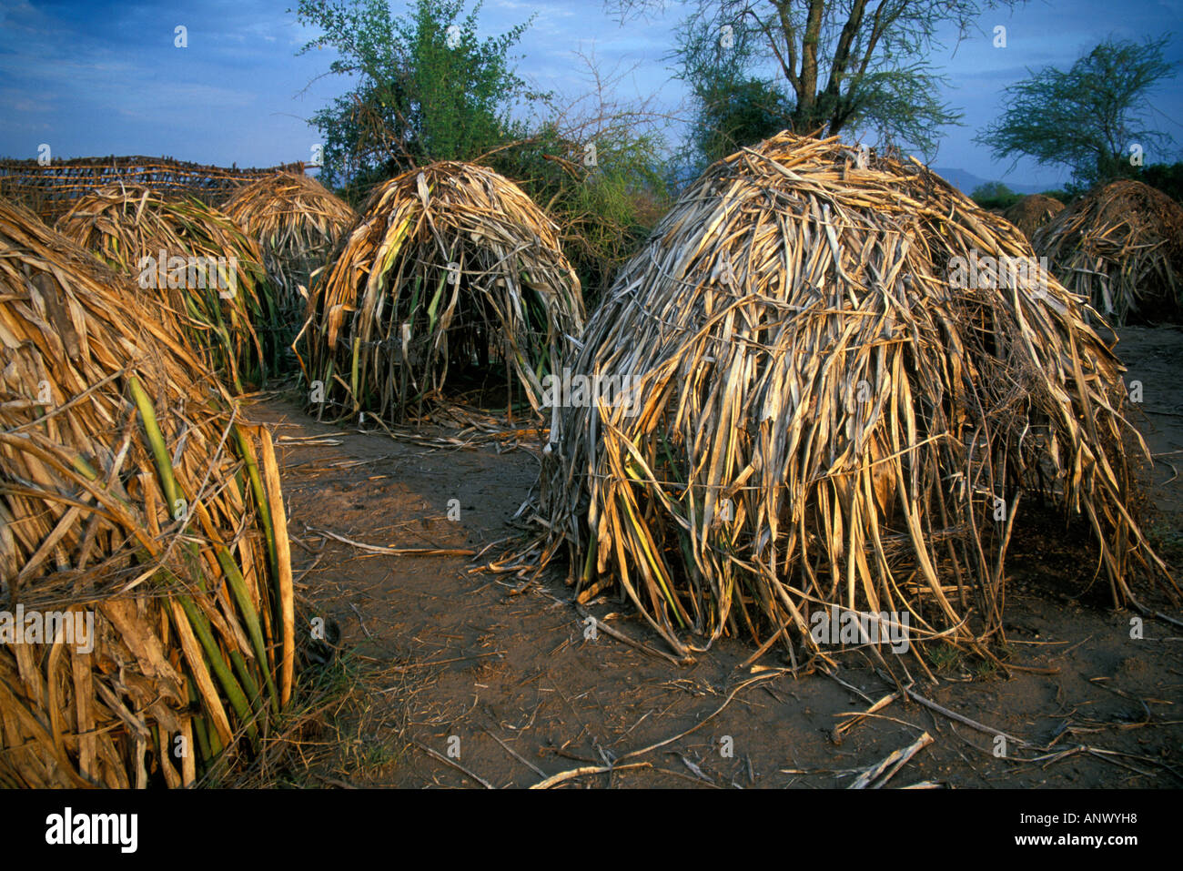 Africa, Ethiopia, Omo river region, Grass huts in a Mursi village Stock ...