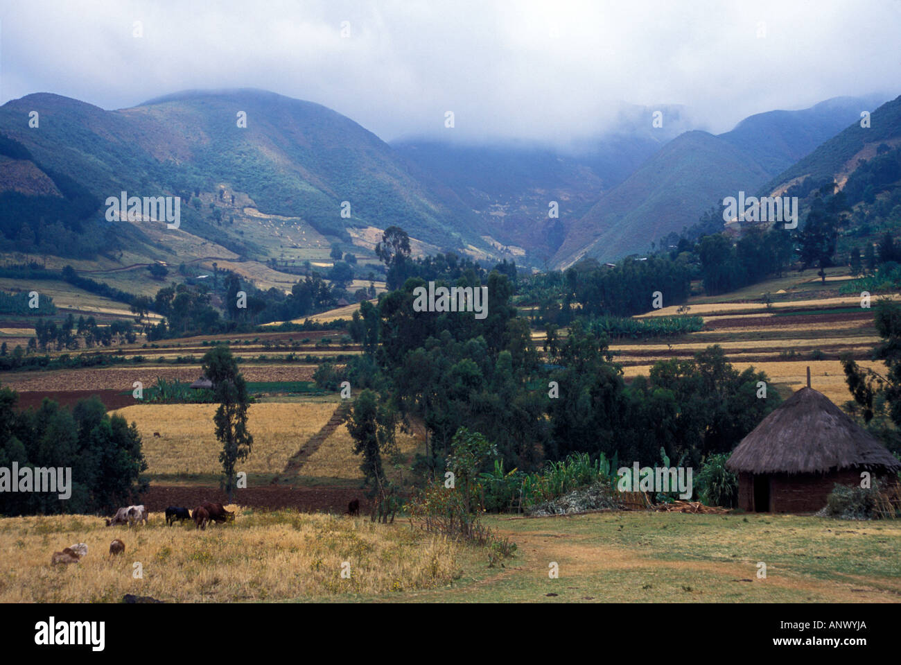 Africa, Ethiopia, Omo river region, Farm landscape Stock Photo - Alamy