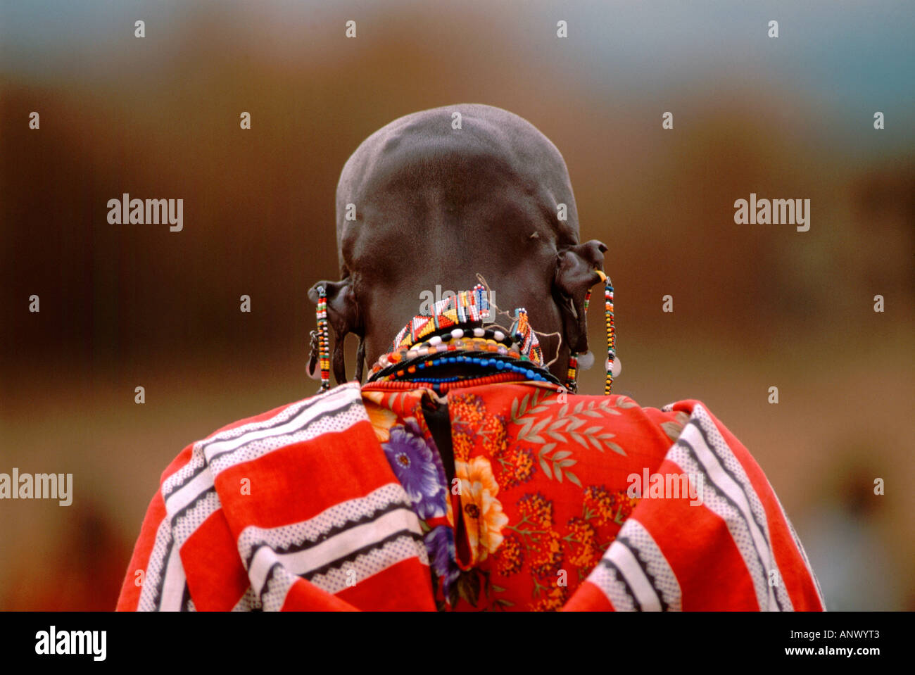 Africa, Kenya, Maasai Mara. Old Maasai woman with shaved head in ...