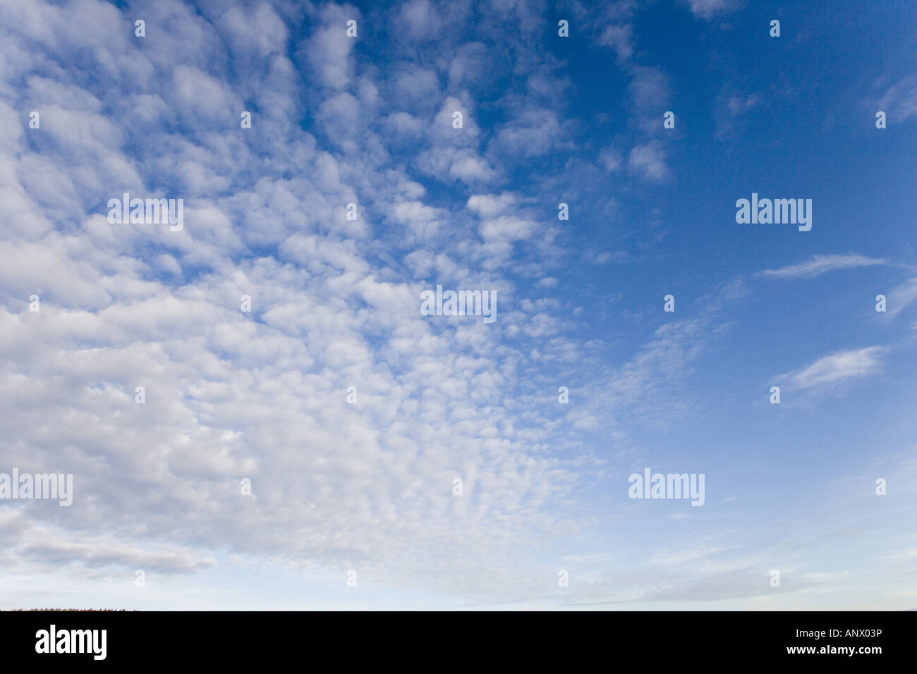 Altocumulus perlucidus clouds hi-res stock photography and images - Alamy
